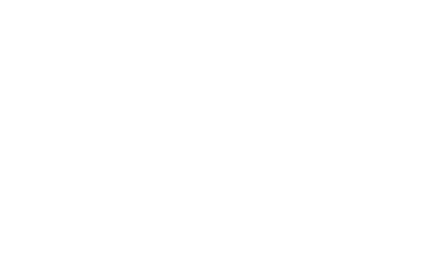 Pacini Body Trainer 15-22
